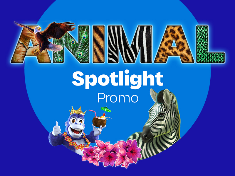 Animal Spotlight Promo - lotoquebec.com